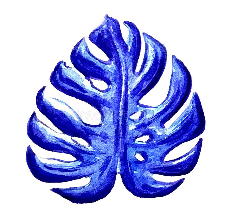 Tropical Blue Leaf Close-up. Drawing with Markers Stock Photo - Image ...