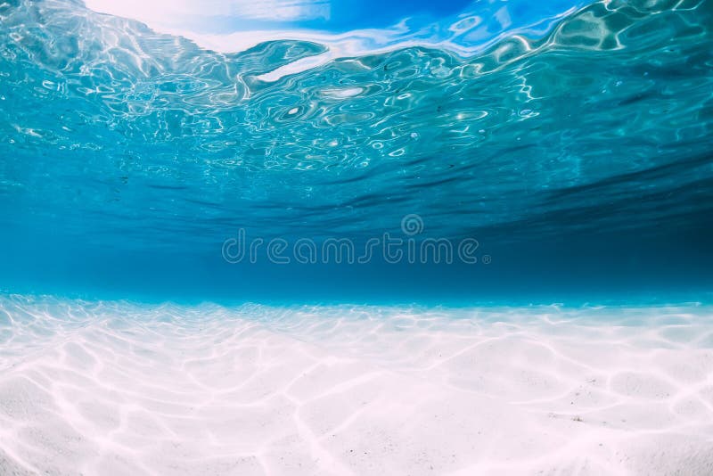 Tropical Blue Ocean with White Sand Underwater in Hawaii Stock Image ...