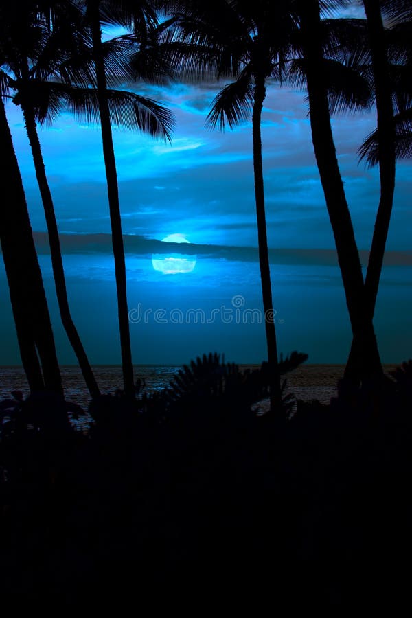 Tropical blue sky stock image. Image of door, bridge - 79554353