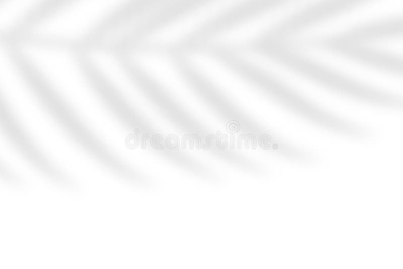 Tropical Blurred Leaf. Light Overlay Transparent Effect Stock Vector ... Tropical Blurred Leaf. Light Overlay Transparent Effect Stock Vector ...