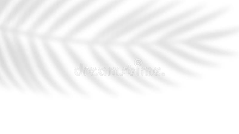 Tropical Blurred Leaf. Light Overlay Transparent Effect Stock Vector ... Tropical Blurred Leaf. Light Overlay Transparent Effect Stock Vector ...