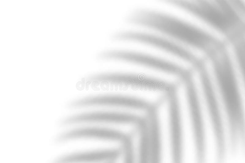 Tropical Blurred Leaf. Light Overlay Transparent Effect Stock Vector ... Tropical Blurred Leaf. Light Overlay Transparent Effect Stock Vector ...