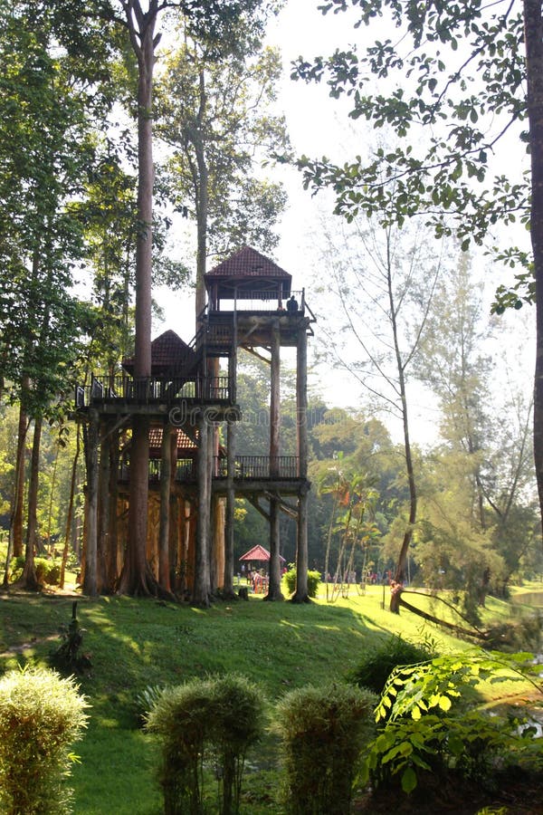 Tropical Botanical Garden stock photo. Image of botanical - 19721878