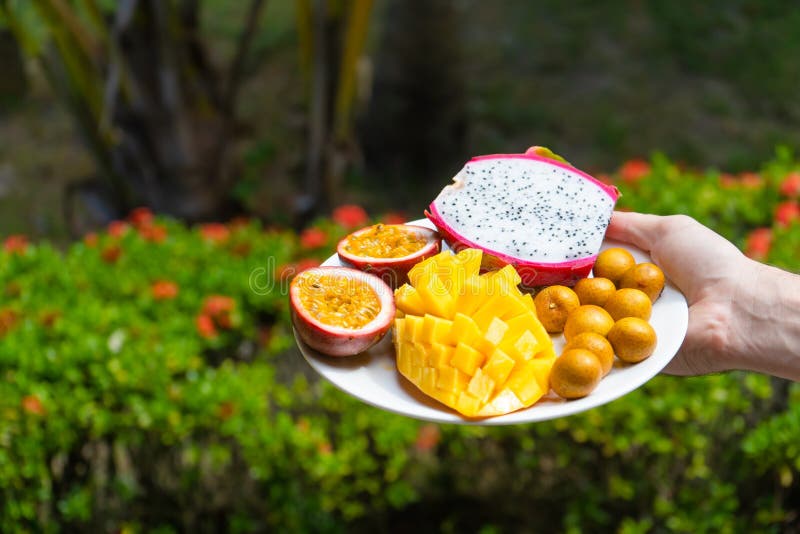 Tropical Breakfast. Fruit Plate in a Tropical Garden Stock Photo ...