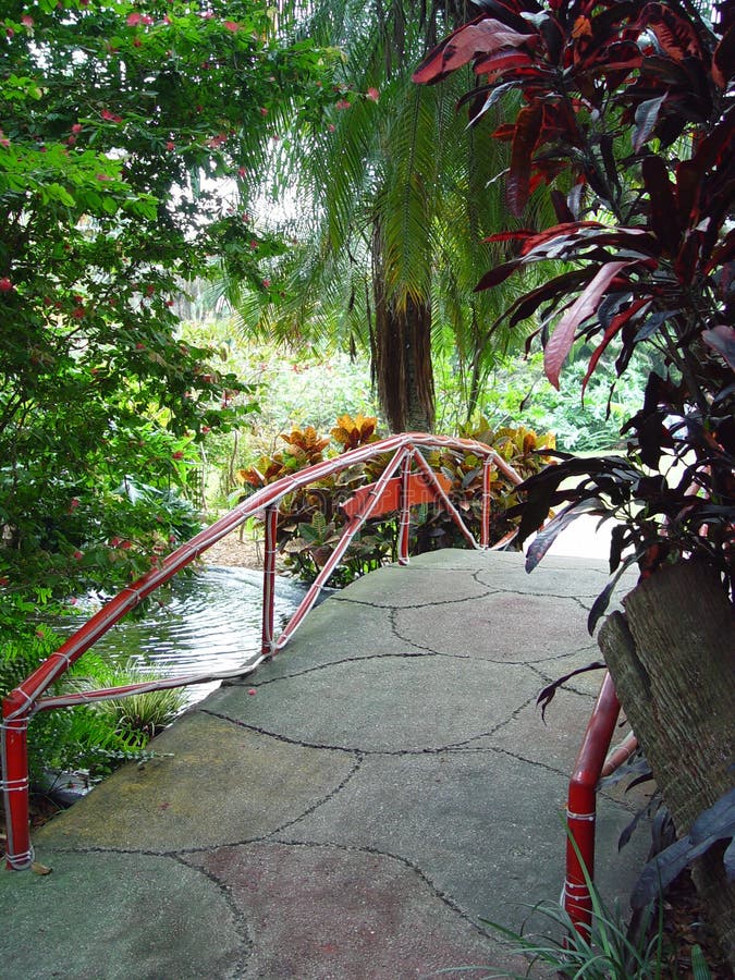 Tropical Bridge stock image. Image of secluded, plant, rainforest - 141033