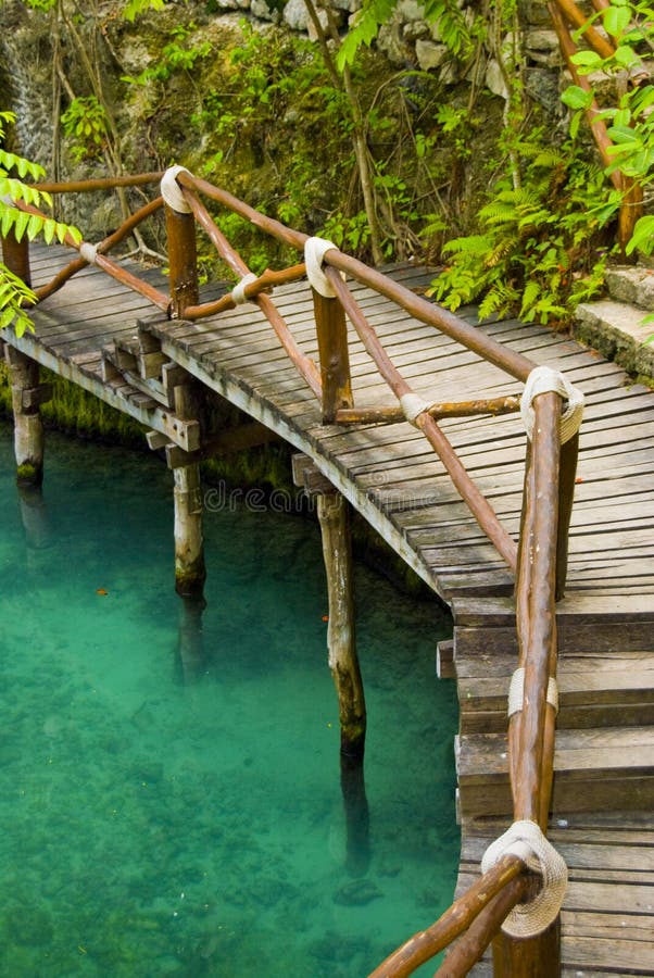 Tropical bridge stock photo. Image of cluster, branches - 5644502