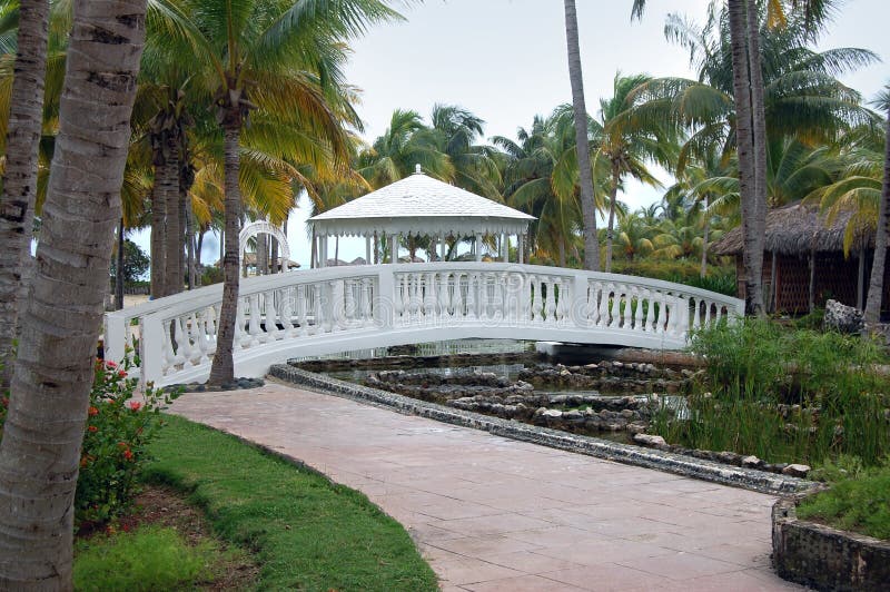 Tropical Bridge stock image. Image of secluded, plant, rainforest - 141033