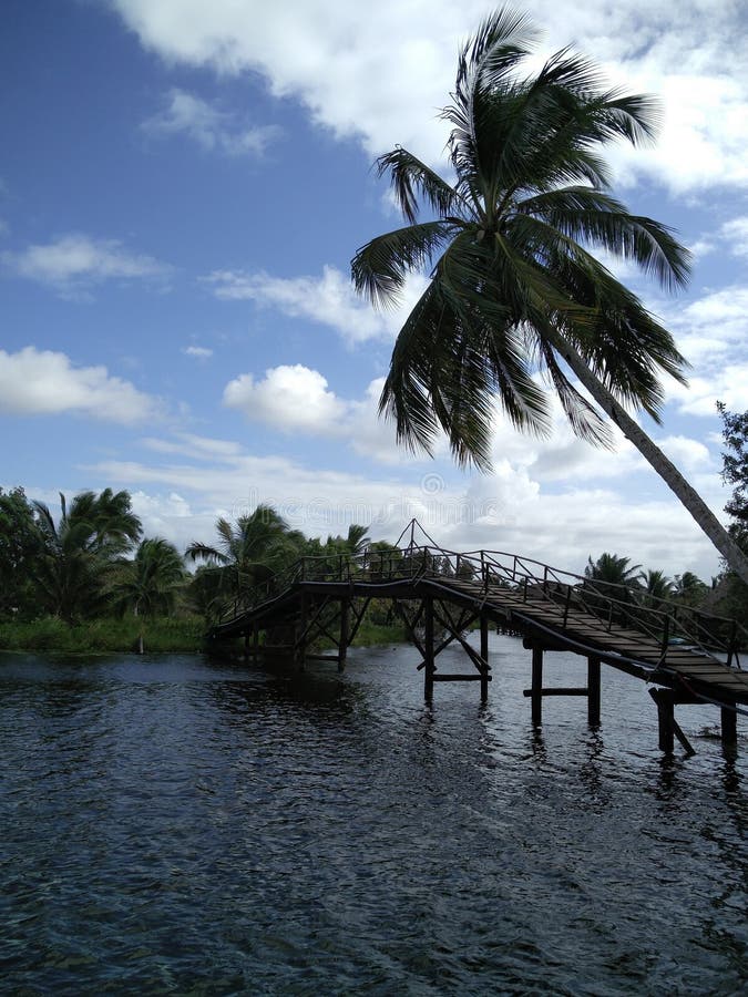 Tropical bridge stock photo. Image of nature, ocean - 102890592