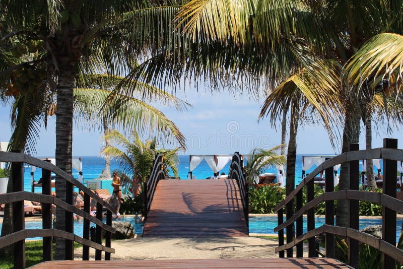 Tropical Bridge stock image. Image of secluded, plant, rainforest - 141033
