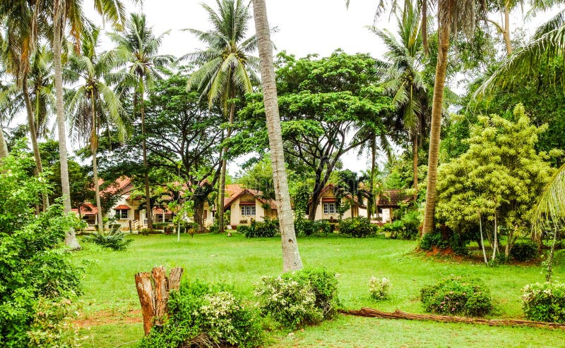 Bungalow in palm trees stock photo. Image of wooden, traditional - 17144474