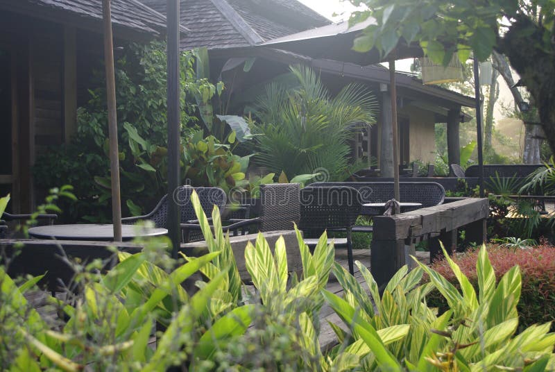 Tropical Cafe Terrace in the Garden Stock Image - Image of chiangmai ...