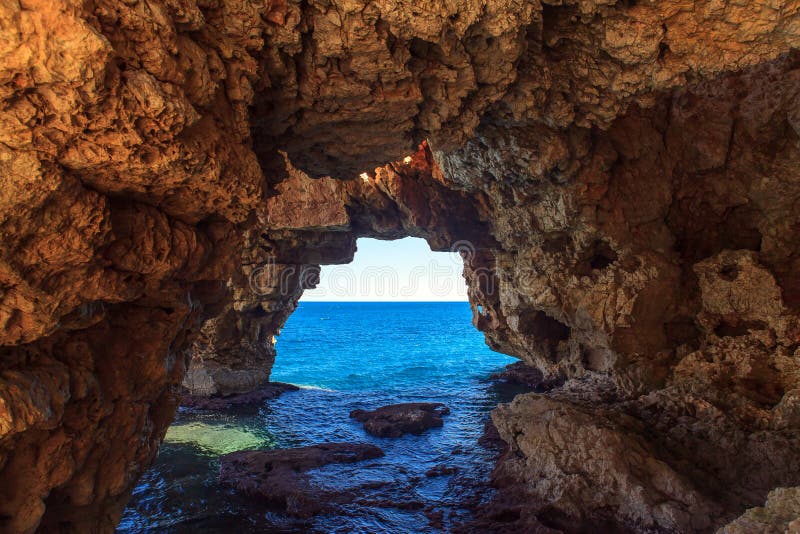 Tropical Cave Entrance Surrounded by Palm Trees in Puerto Rico Stock ...