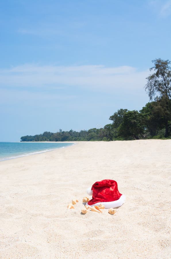 Tropical Christmas stock image. Image of coastline, celebrate - 46666825