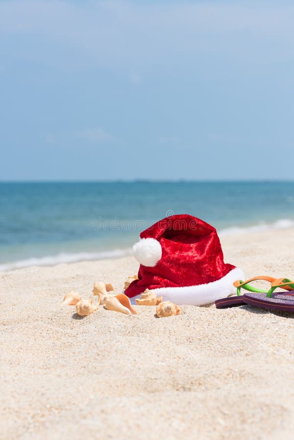 Tropical Christmas stock image. Image of caribbean, horizon - 46667135