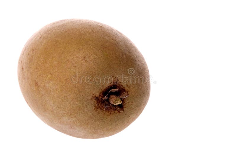 Tropical Ciku Fruit stock image. Image of agriculture - 5900311