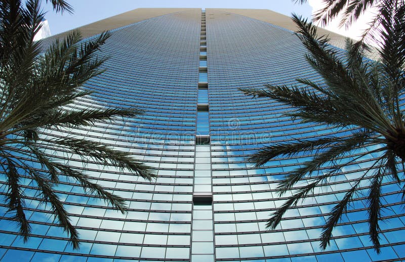 Tropical City stock image. Image of city, buildings, downtown - 13837941