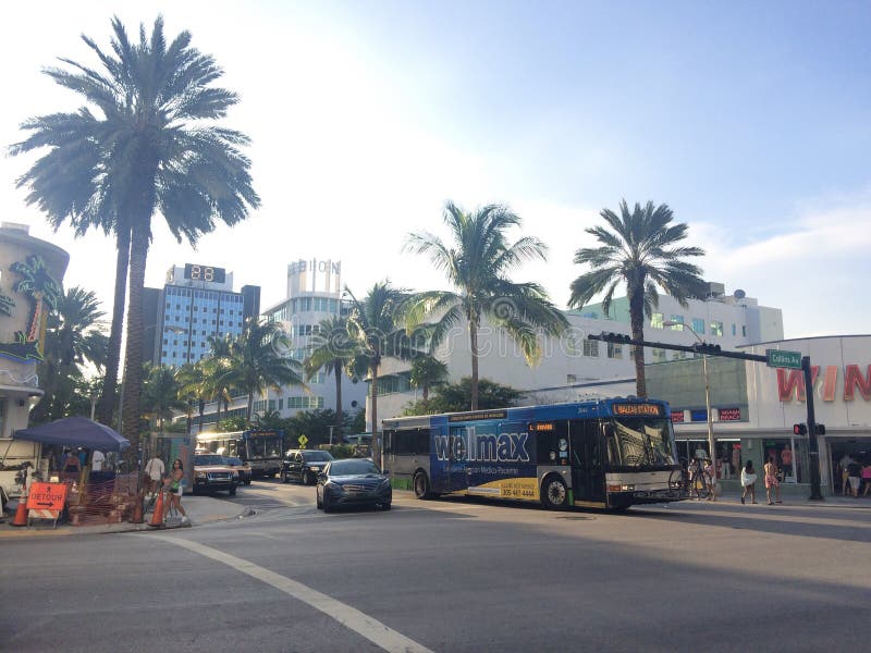 Tropical city street editorial photography. Image of tree - 80278732