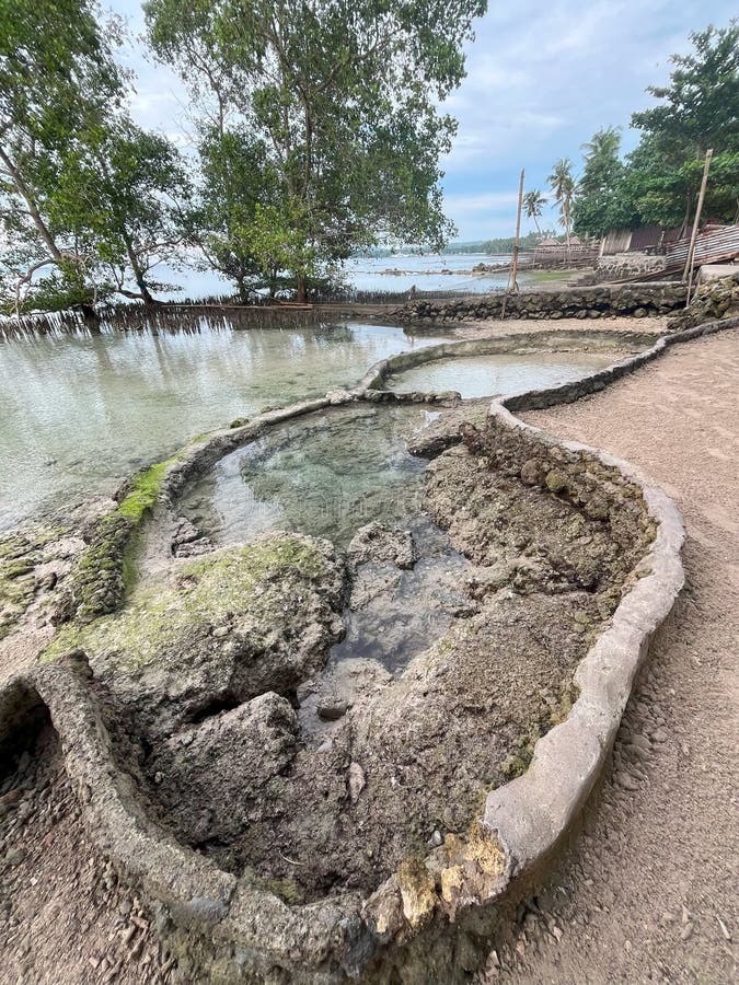 Tropical Clear Water Pools and Mangroves Stock Image - Image of ...