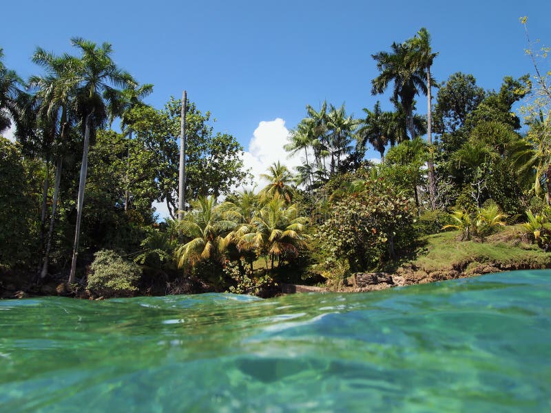 Tropical coast stock photo. Image of escape, costa, landscape - 24626614