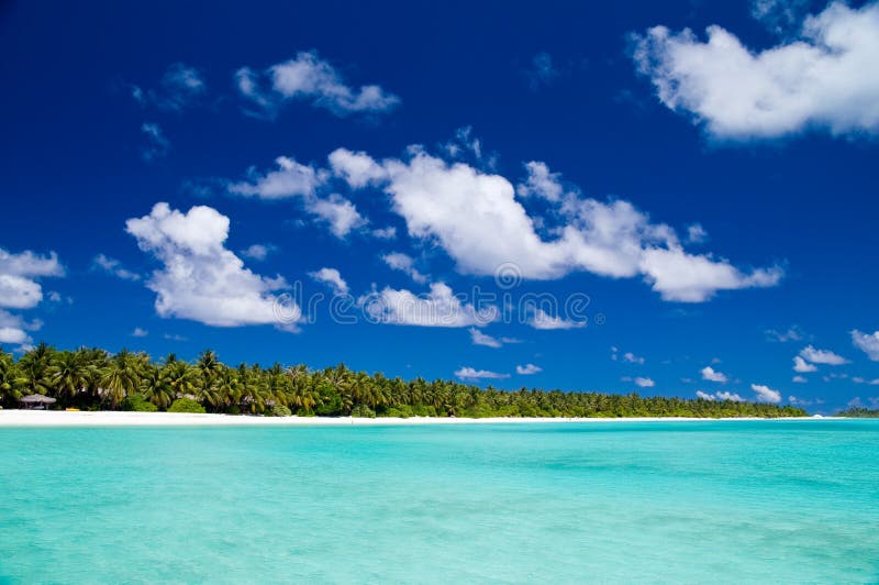 Tropical Fun stock photo. Image of resort, enjoyable, island - 392828