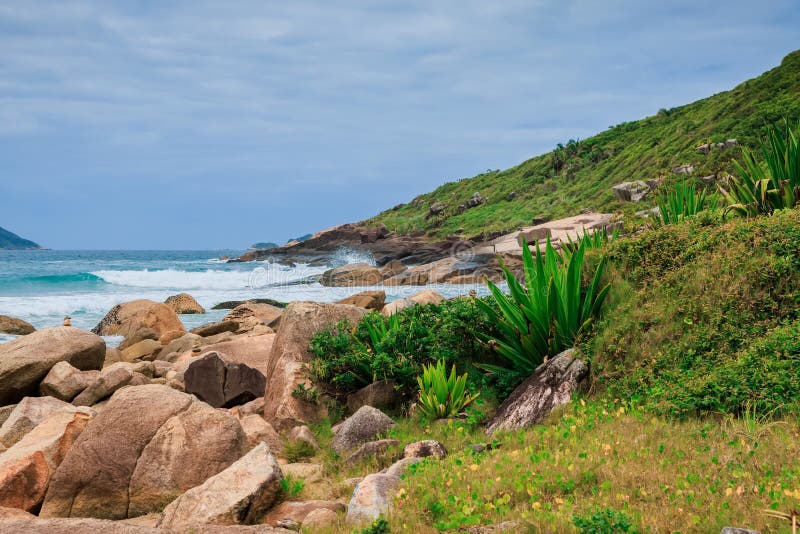 Tropical Coastline with Beach and Clear Ocean with Blue Wave in Brazil ...