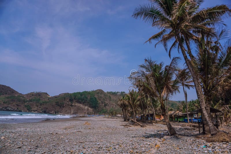 Tropical Coastline with Coconut Palms at Watu Bale Beach, Kebumen ...