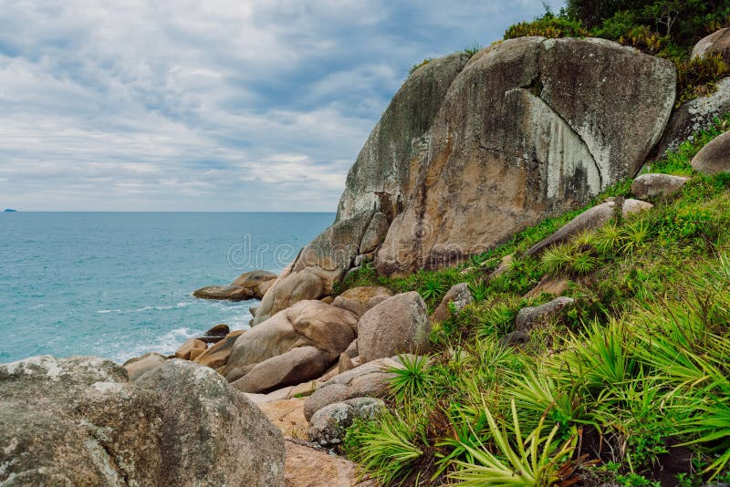Tropical Coastline with Plants, Amazing Rocks and Ocean Stock Photo ...