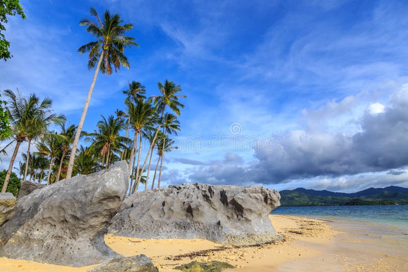 Tropical Coastline with Rocks and Palm Trees, Palawan, Philippines ...