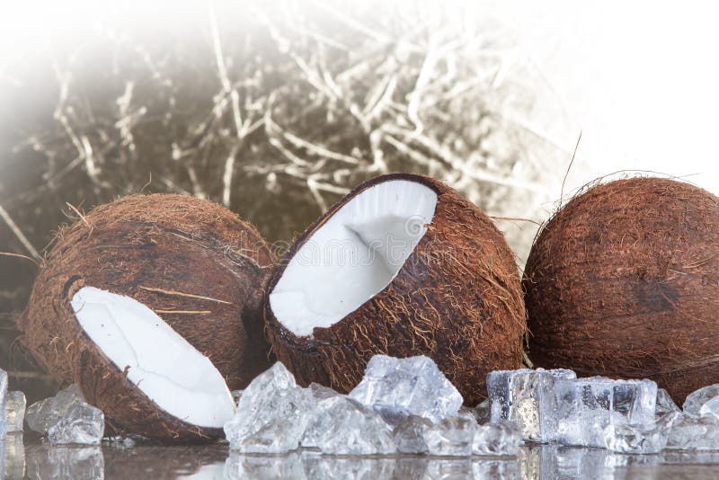 Tropical coconut stock photo. Image of coconut, organic - 150834006