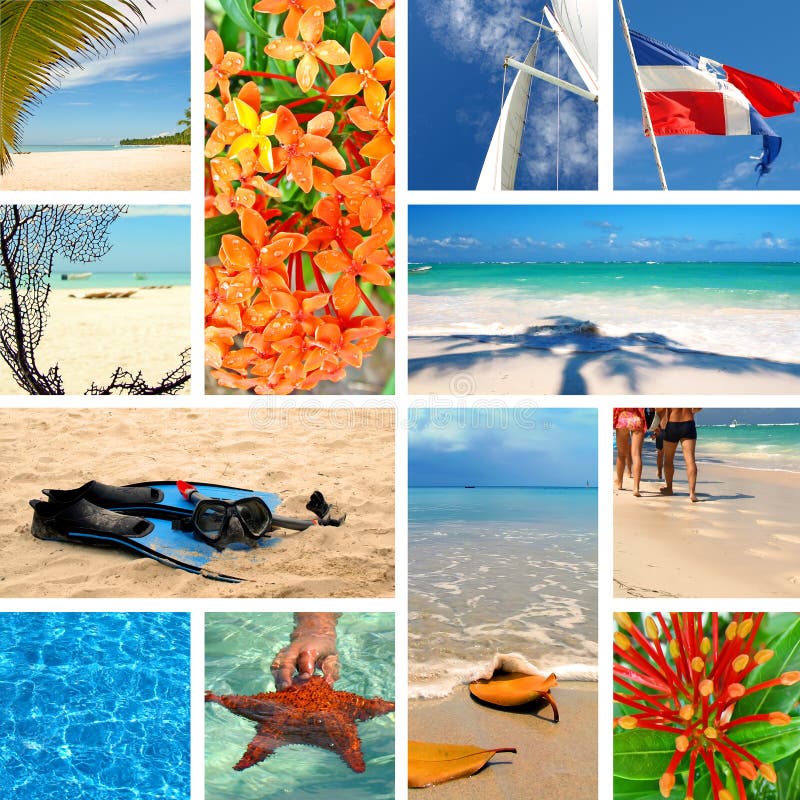 Tropical Collage. Exotic Travel Stock Image - Image of paradise, flower ...