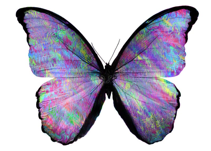 Butterfly Colorful Stock Illustrations – 184,871 Butterfly Colorful ... Butterfly Colorful Stock Illustrations – 184,871 Butterfly Colorful ...