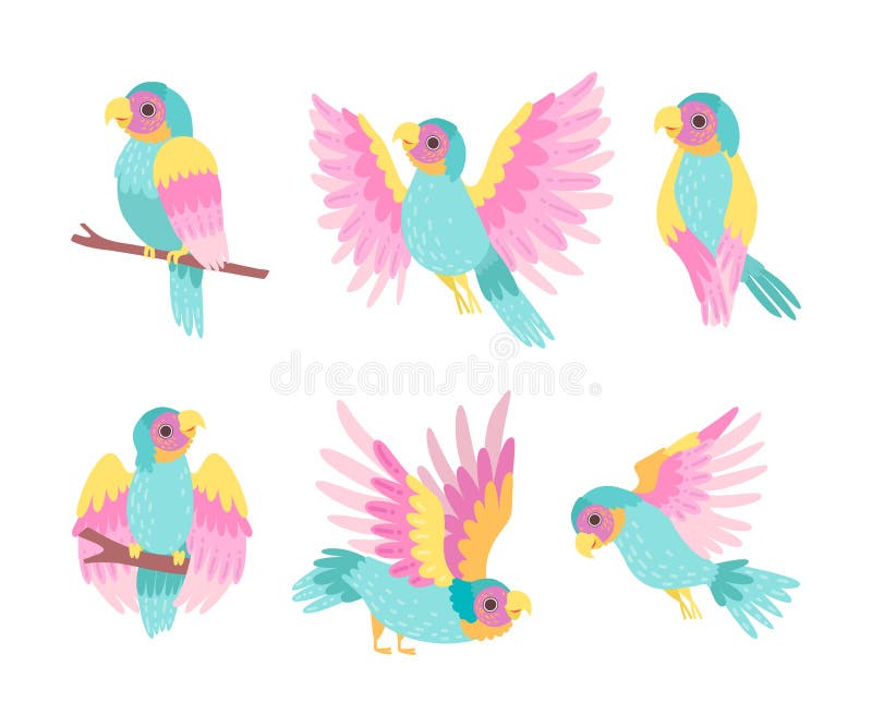 Tropical Colorful Parrot with Bright Feathers and Beak Vector Set Stock ...