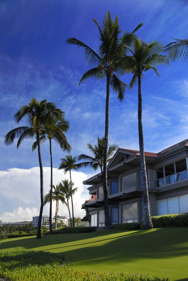 Tropical Condo stock photo. Image of tree, shore, travel - 4161890