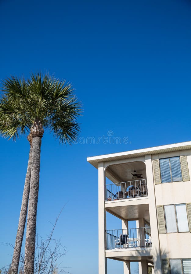 Tropical Condo Under Blue Sky and Palm Tree Stock Image - Image of ...