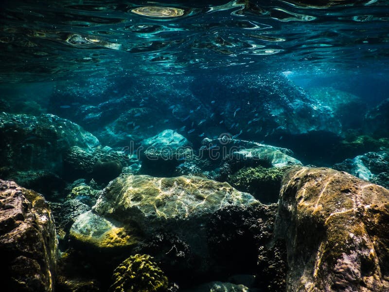 Tropical Coral Reef in Thailand Stock Image - Image of color, asia ...