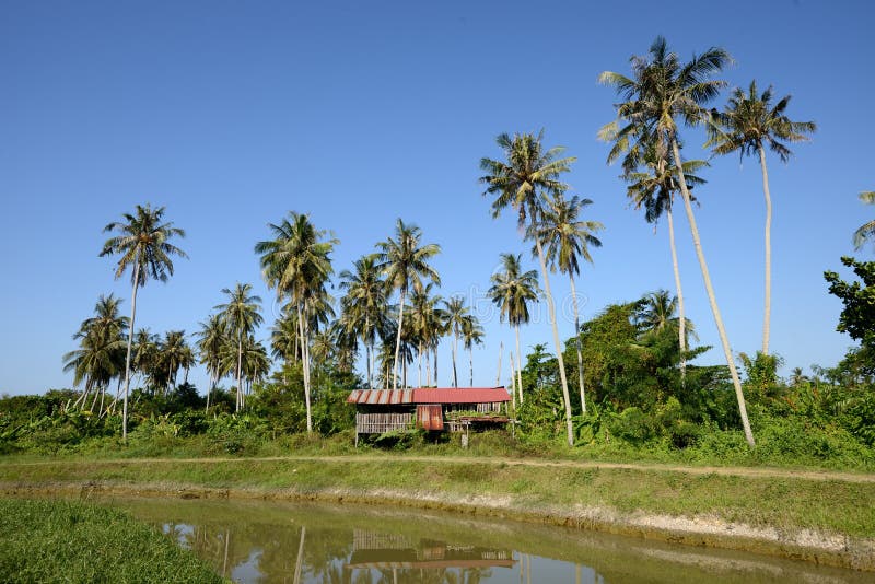 Tropical Country side stock image. Image of leisure, house - 64721095