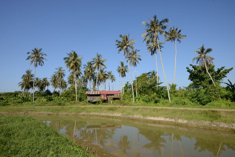 Tropical Country side stock image. Image of malaysia - 64721523