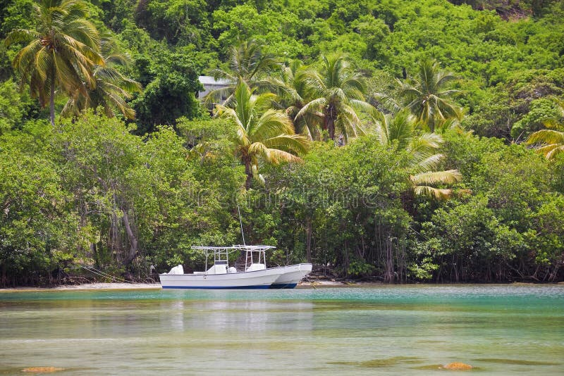 Tropical cove stock image. Image of holidays, nature - 13113209