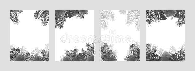 Tropical Covers Vector Collection. Black and White Tropic Border Frames ...