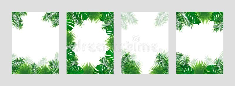Tropical Covers Vector Collection. Tropic Border Frames with Amazon ...