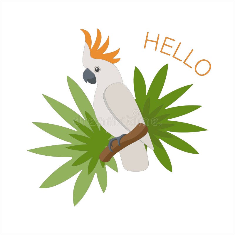 Tropical Cute Cartoon Parrot Vector Illustration With Cockatoo And