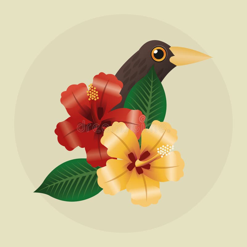 Tropical Design. Bird Concept. Nature Icon Stock Vector - Illustration ...