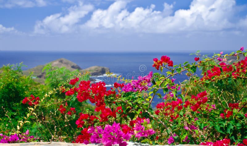 Tropical Dreams stock image. Image of picturesque, escape - 16220917