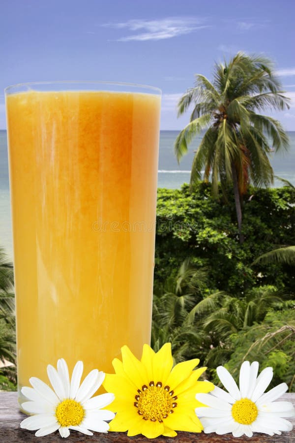 A Tropical Drink on a Hawaiian Beach Stock Image - Image of sand, guava ...