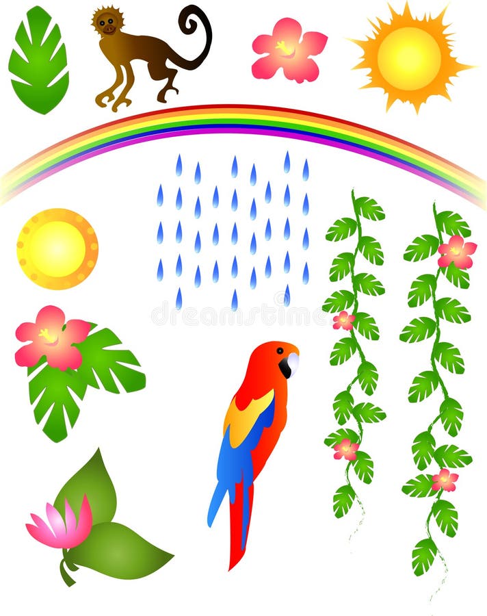 Tropical Elements stock illustration. Illustration of rainbow - 14091445