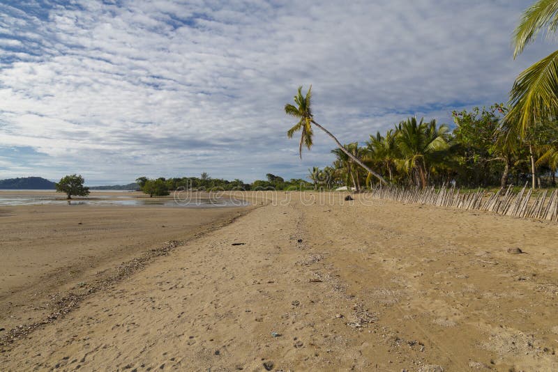 Tropical Empty Beach Landscape Stock Image - Image of tropical, tree ...
