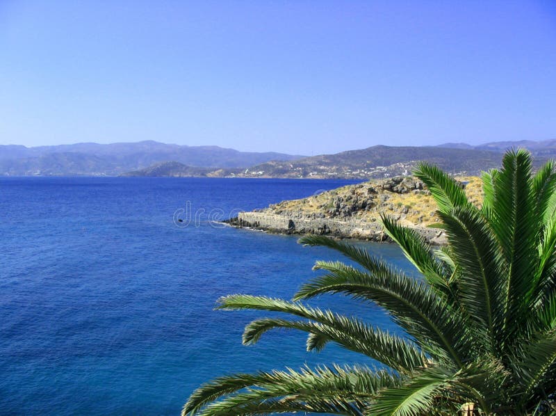 Tropical environment stock image. Image of leafs, islands - 584075