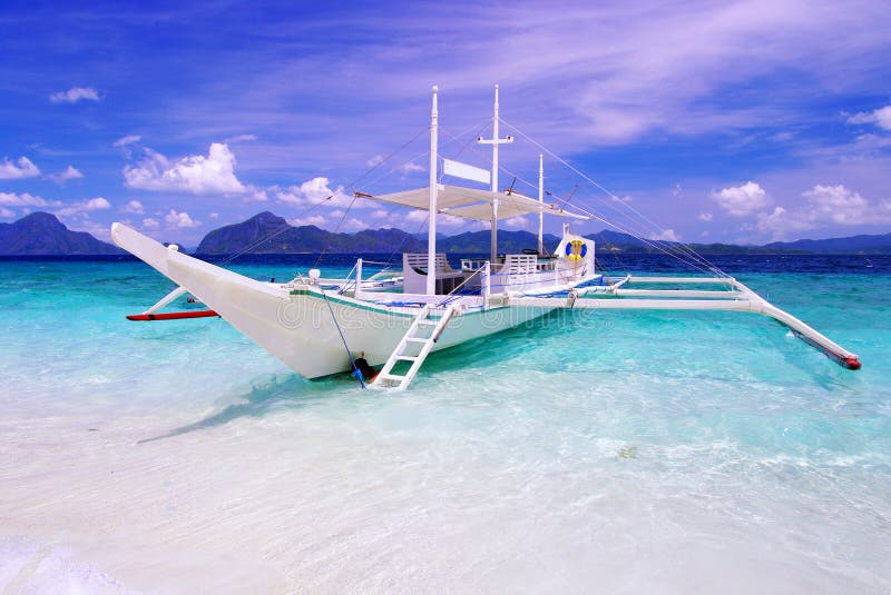 Tropical escape stock image. Image of palm, beach, relaxation - 8506765