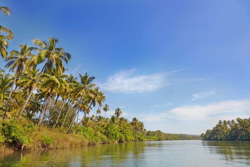 Tropical Evening Landscape with Palm Tree. Stock Photo - Image of ...