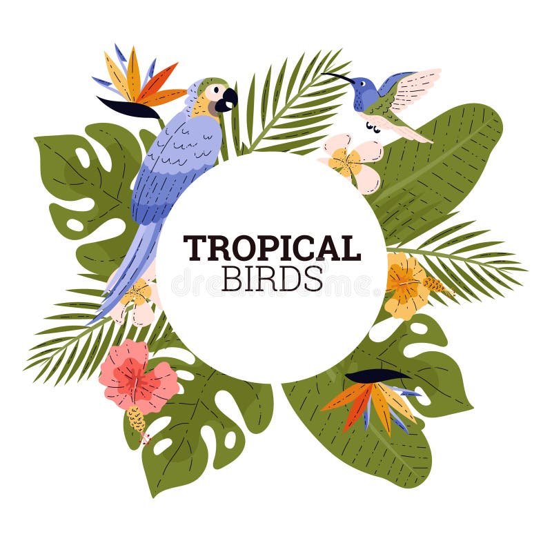 Tropical Exotic Birds in Frame or Label Design Vector Illustration ...